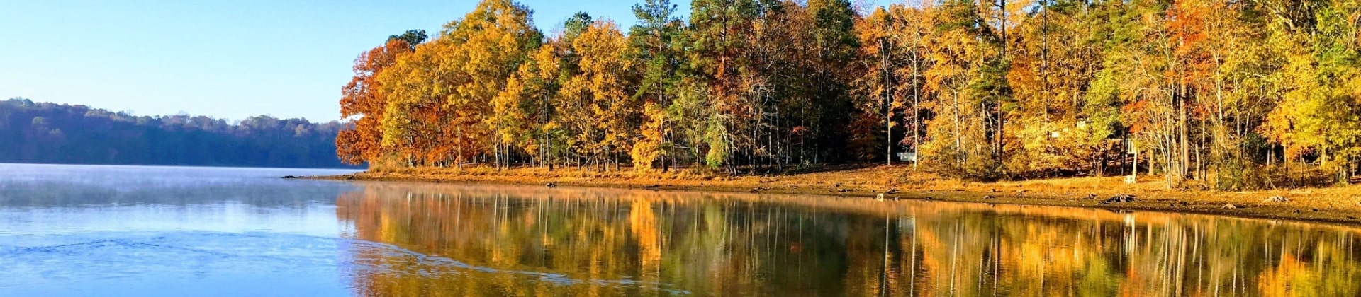 Adams Point Pest Control | Local Adams Point Exterminating